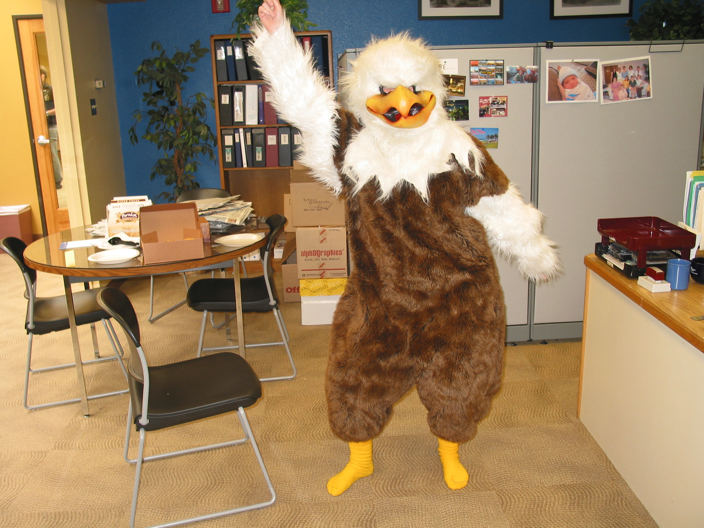 Mascot Makeover | Mesa Community College